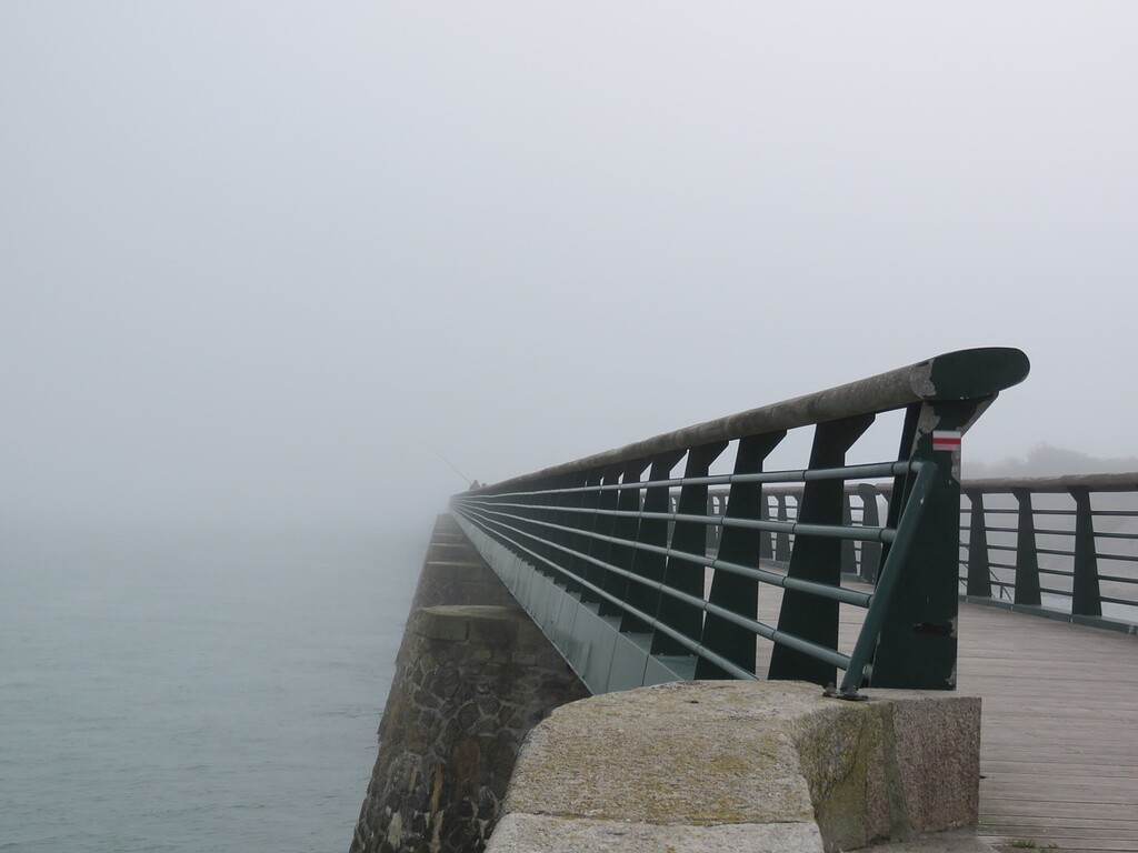 :STORYred: :intro: Les trois "F" et les oeillets. - Stories Terminées ...